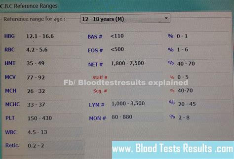 Normal Cbc Values For 12 18 Years Male Blood Test Results Explained Normal Cbc Values For 12 18 Years Male Blood Test Results Explained