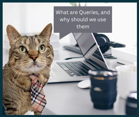 What Are Queries And Why Should We Use Them Bc Development Notebook