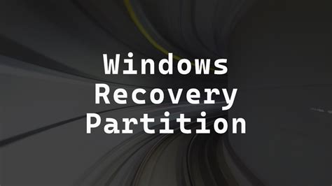 Windows Recovery Partition Thedxt