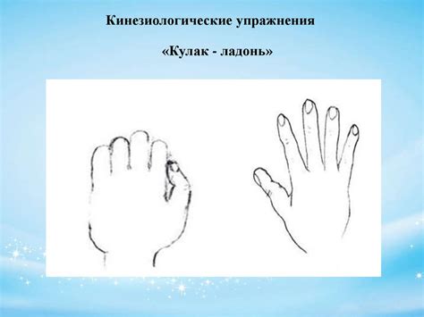 Метод кинезиологии в речевом развитии дошкольников. Мастер-класс для ...