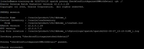 Applying Dstv36 Patch In Oracle Database Mdm Team