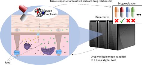 Figure 1 From From Multiscale Biophysics To Digital Twins Of Tissues And Organs Future