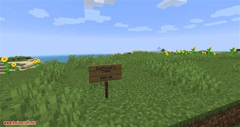 Named Areas Mod 1 19 3 1 18 2 Name Your Area 9Minecraft Net