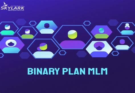 Binary Plan Mlm Software Services Free Download Available At ₹ 35000