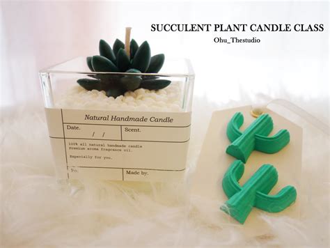 서울공방 다육이 캔들 만들기 솜씨당