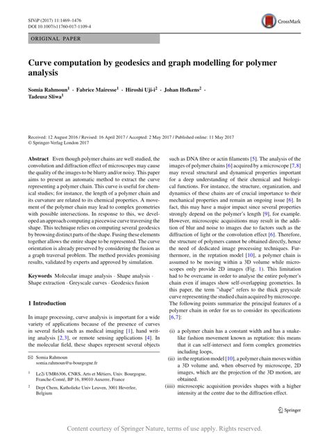 curve computation by geodesics and graph modelling for polymer analysis