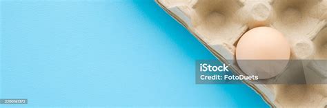 밝은 파란색 테이블 배경에 판지 트레이에 있는 갈색 달걀 파스텔 색상 근접 촬영 와이드 배너 텍스트를 위한 빈 공간입니다 하향식 보기 0명에 대한 스톡 사진 및 기타 이미지
