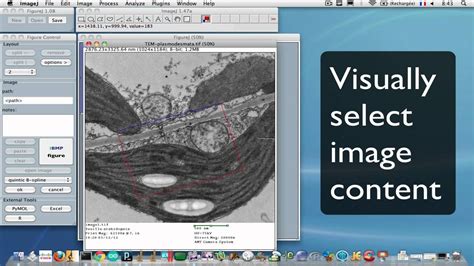 Image Drole Add Scale Bar Plugin Imagej Download