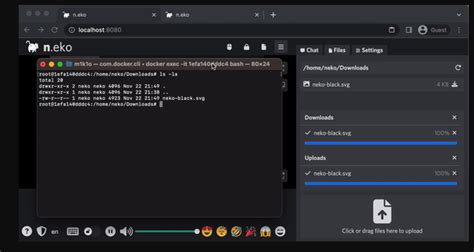 Introducing Neko The Docker Based Virtual Browser Built For Your Privacy