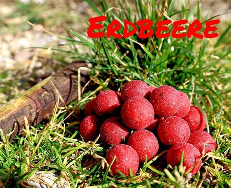 B76 Erdbeer Boilie 20mm B76 Boilie Manufaktur