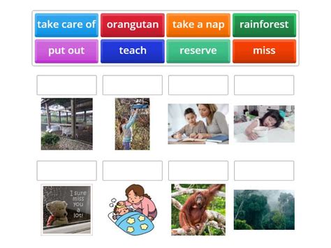 Oxford Discover Unit Vocabulary Match Up