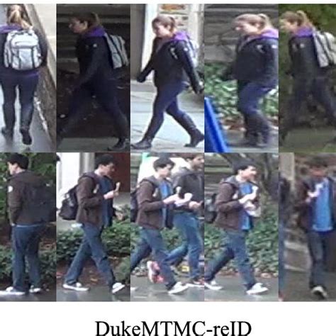 Example Images From Three Benchmark Datasets Images In One Row Belong