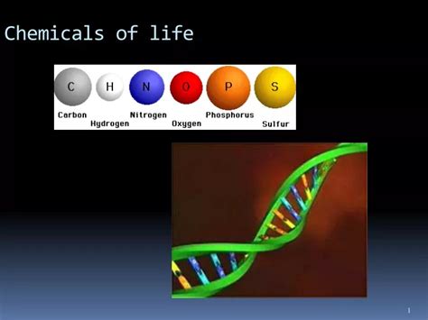 Ppt Chemicals Of Life Powerpoint Presentation Free Download Id 9345326
