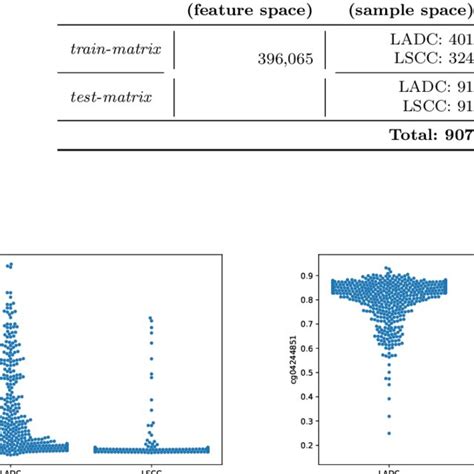 Details Of The Preprocessed Dataset Download Scientific Diagram