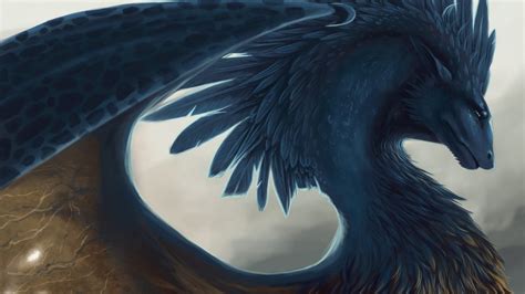 Eragon Hd Hd Wallpaper Rare Gallery