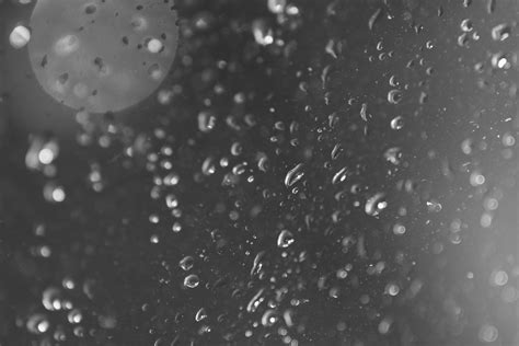 무료 이미지 눈 하락 검정색과 흰색 사진술 비 날씨 검은 단색화 원 닫다 동결 매크로 사진 흑백 사진 5455x3637 144524 무료