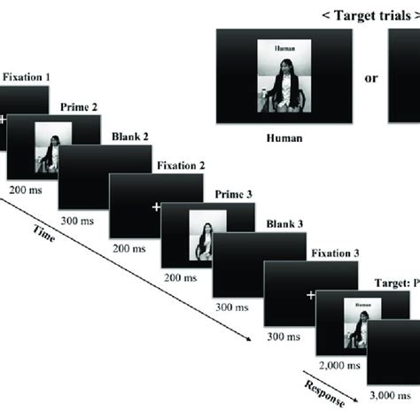 Event Related Potential Erp Experimental Paradigm Presented During Download Scientific