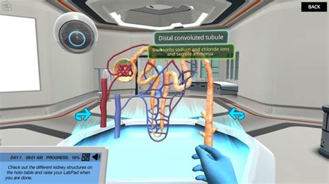 Labsters 7 Favorite Anatomy And Physiology Lab Quiz Questions