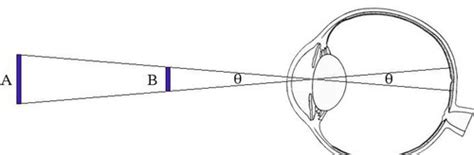 Contrast Sensitivity Flashcards Quizlet