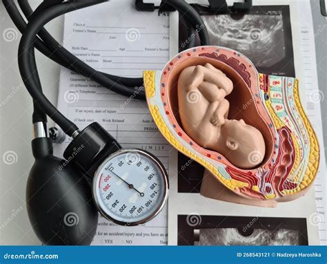 Ultrasound Of Uterus And Diseases Of Female Reproductive System Stock