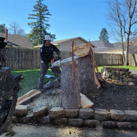 Tree Removal Evans Tree Care Crown Point Indiana