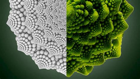 Grasshopper Módulo 13 Curso Python 2 Generative Ways