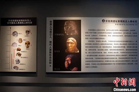 安徽华龙洞遗址开启第四次发掘 探秘30万年前古人类生活场景 新华网客户端