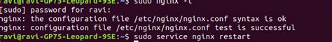 magento2 unable to access newly created domain in nginx on ubuntu