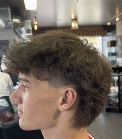 25 Trendy Modern Mullet Haircuts For Men The Ultimate Guide To New