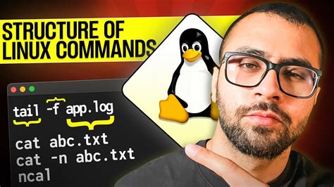 Mastering Linux Commands Understanding Structure And Options Galaxyai