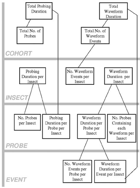 Hierarchy Of Heuristic Relationships Among Waveform Parameters At Four