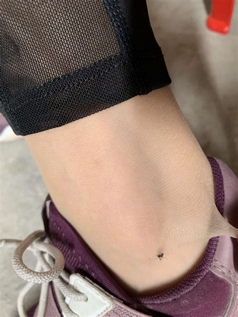 少女肉丝脚丫 户外 艺足语
