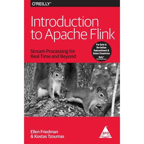 Introduction To Apache Flink Book Experienced Trader