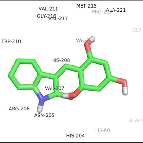 A The Binding Orientation Of Compound 11 Within The Active Site Of