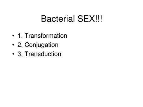 Ppt Unveiling Microbial Genetics From Genotype To Phenotype Powerpoint Presentation Id 6756557
