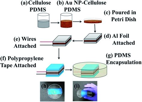Schematic Diagram Of The Step Wise Fabrication Process Of The Png A Download Scientific