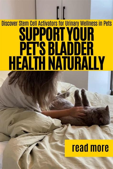 Products Stem Cell Products And More