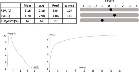 Reference Values For Spirometry And Their Use In Test Interpretation A Position Statement From