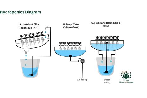 Hydroponics Diagram Fresh Guidance Urban House Garden