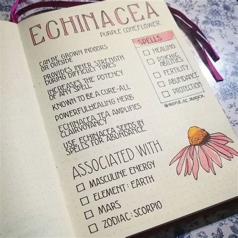 Echinacea Magick Wiccan Spell Book Witch Spell Book