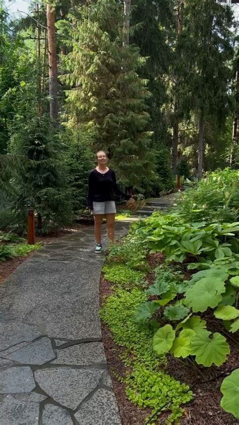 Многолетники для тенистых мест Современный ландшафт Летние растения