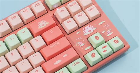 Frog In Keyboard At Ina Pfarr Blog