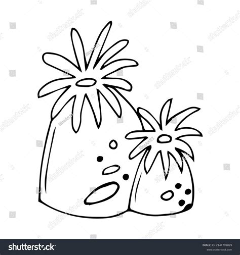 Vector Isolated Simple Contour Coral Template Stock Vector Royalty Free 2144799029 Shutterstock