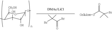 Scheme 1 Chemical Structure Of Dma Download Scientific Diagram