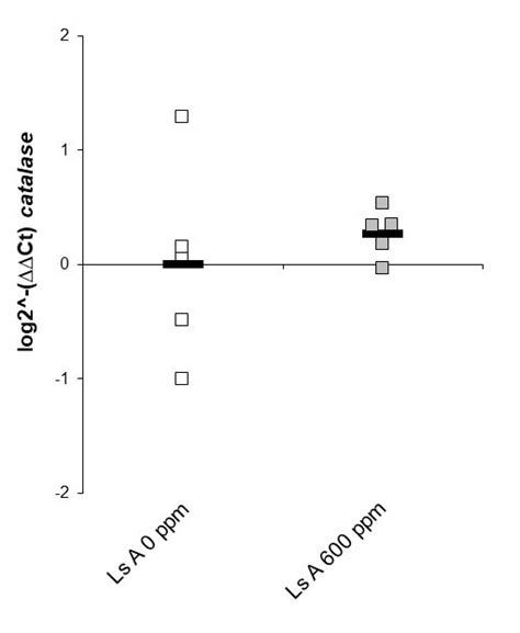 Correlation Between Rnaseq Normalized Counts And Qpcr Δct Values Download Scientific