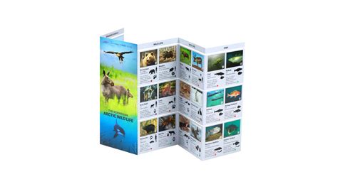 비즈니스용 접이식 브로셔 인쇄 코팅지 전단지 전단지 Sese 인쇄