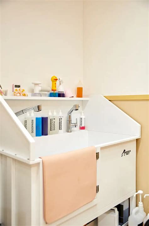 아기자기한 옐로우 컬러로 포인트를 준 8평 애견미용실 인테리어 분당 서현동