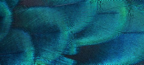 Imo Mepc83 New Net Zero Framework For Shipping Stephenson Harwood Llp