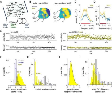 Effects Of Transcranial Current Stimulation Audiovisual Responses A