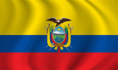 1400 Ecuador Flag Stock Illustrations Royalty Free Vector Graphics
